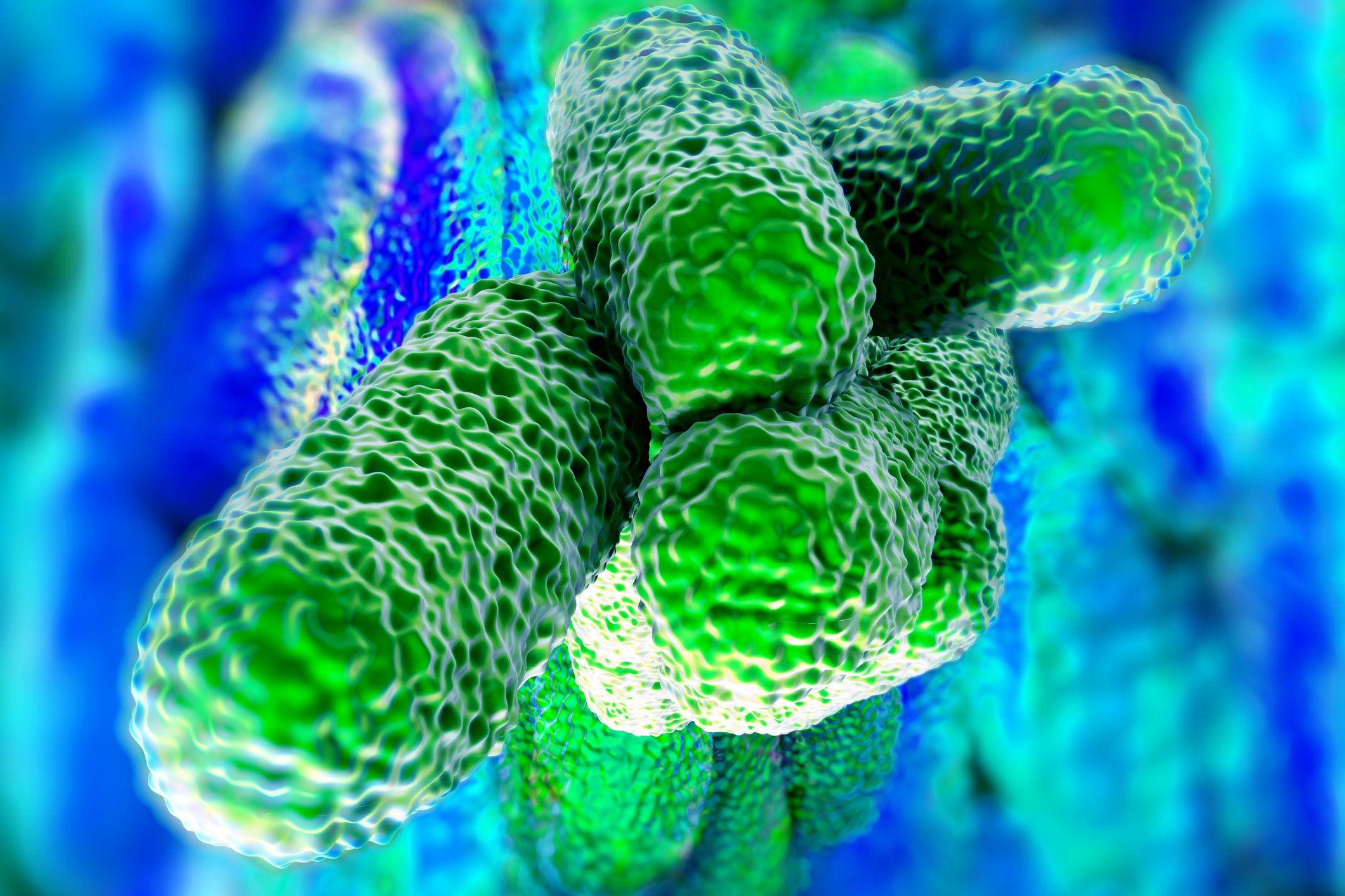 Legionella Control Association's Open Day 2019